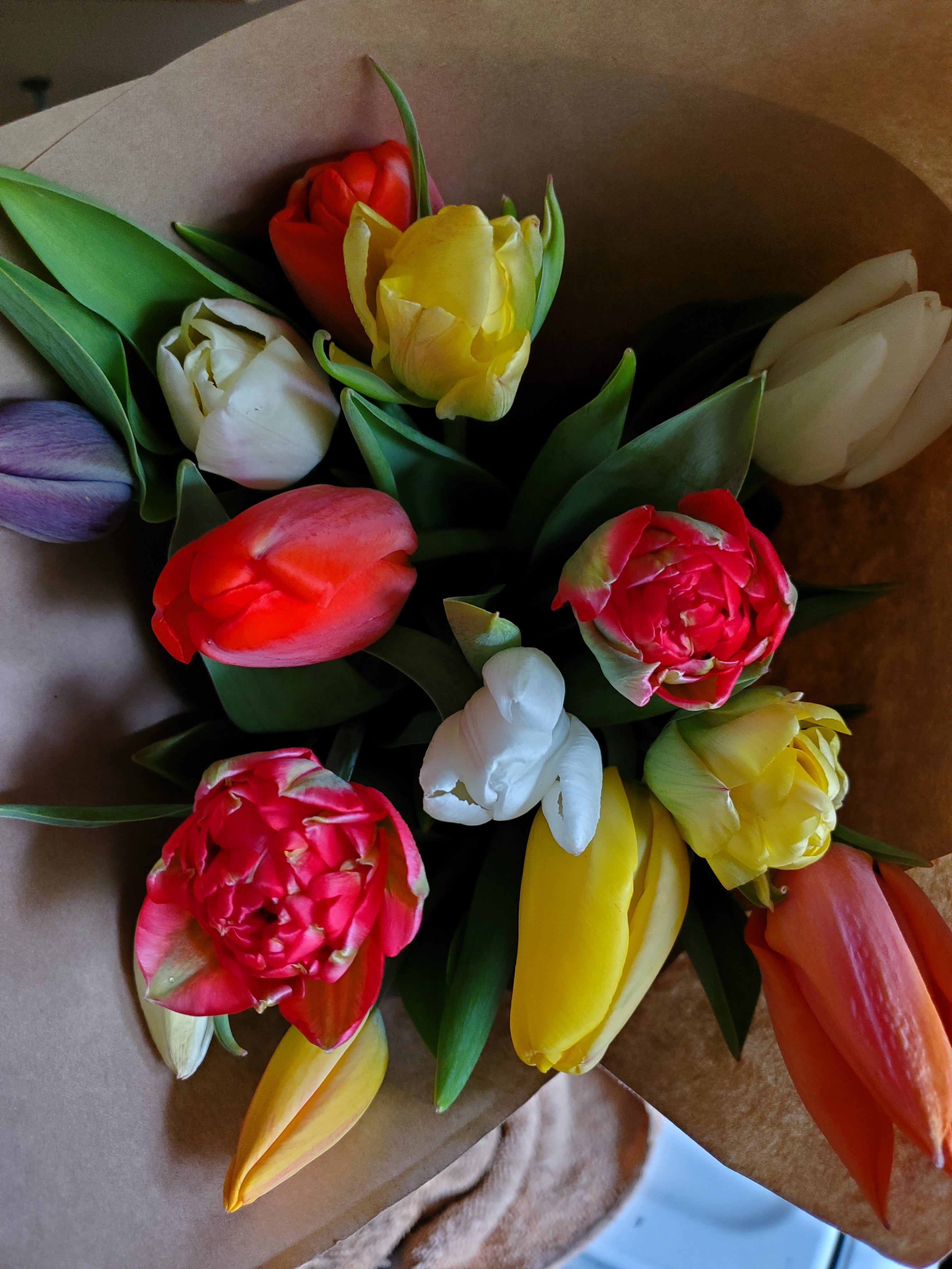 Alexis Flower Farm – Alexisflowerfarm